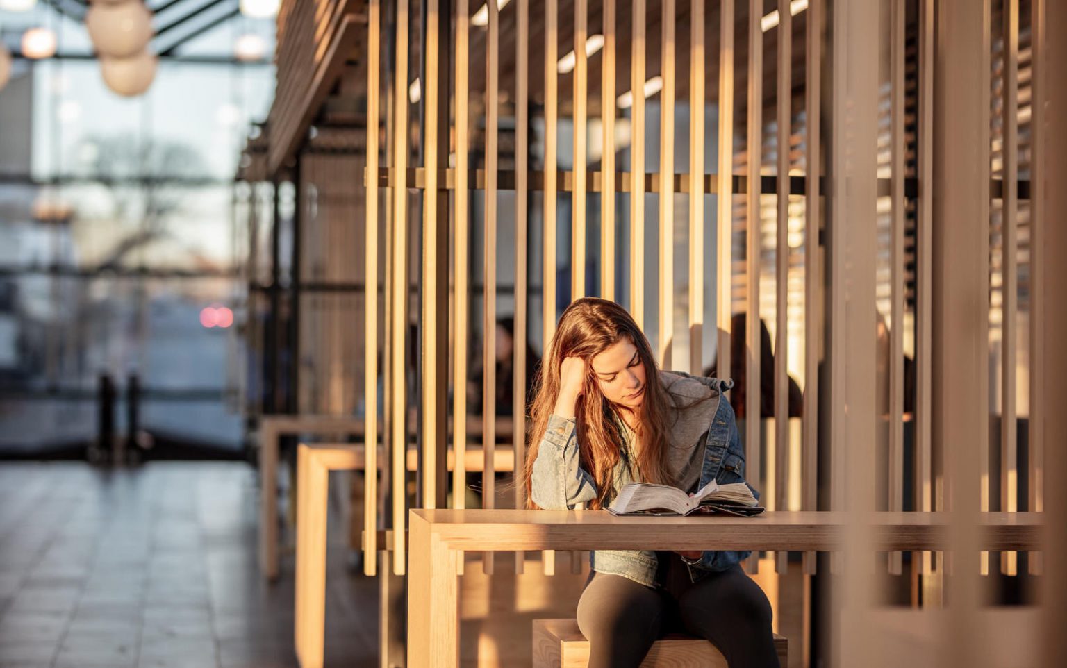 Avondale Construction Limited Group | Halifax, NS | Moncton, NB | Saint ...